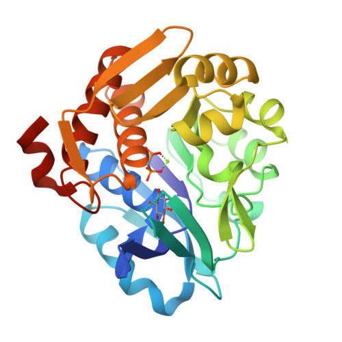 RCSB PDB - 5YSP: Pyrophosphate-dependent kinase in the ribokinase ...