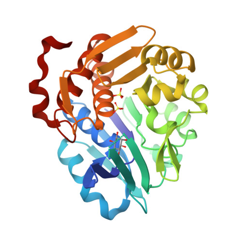 RCSB PDB - 5YSQ: Sulfate-complex structure of a pyrophosphate-dependent ...