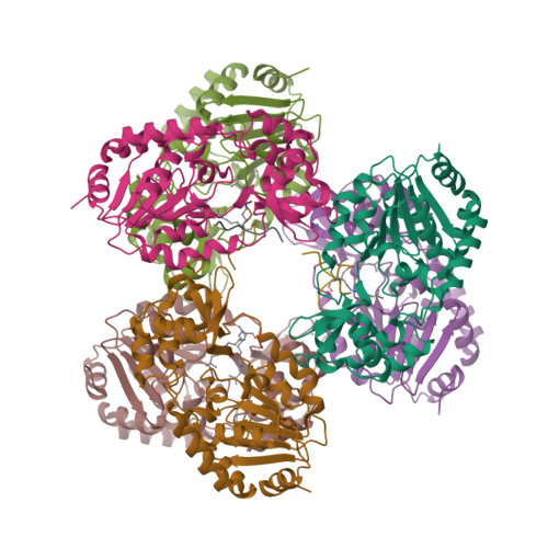 RCSB PDB - 5YTK: Crystal structure of SIRT3 bound to a leucylated AceCS2