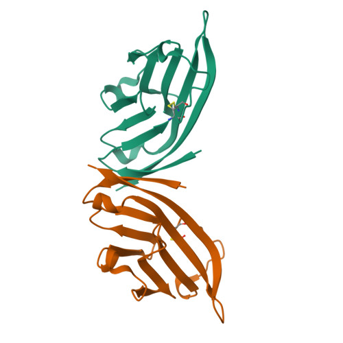 RCSB PDB - 5YXK: High resolution crystal structure of Human B7-2 IgV ...