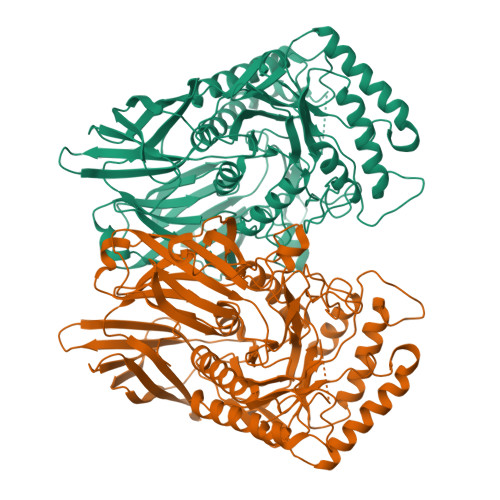 RCSB PDB - 5Z18: The crystal structure of Ruminococcus gnavus beta ...