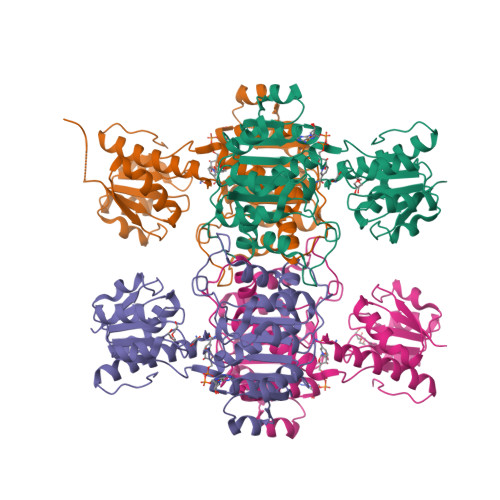 RCSB PDB - 5Z20: The ternary structure of D-lactate dehydrogenase from ...