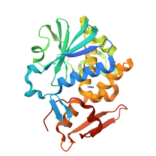 RCSB PDB - 5Z37: Crystal Structure of Abrin A chain (Recombinant) at 1. ...