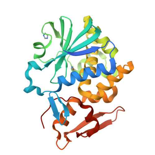 RCSB PDB - 5Z3J: Crystal Structure of Abrin A chain (Recombinant) in ...