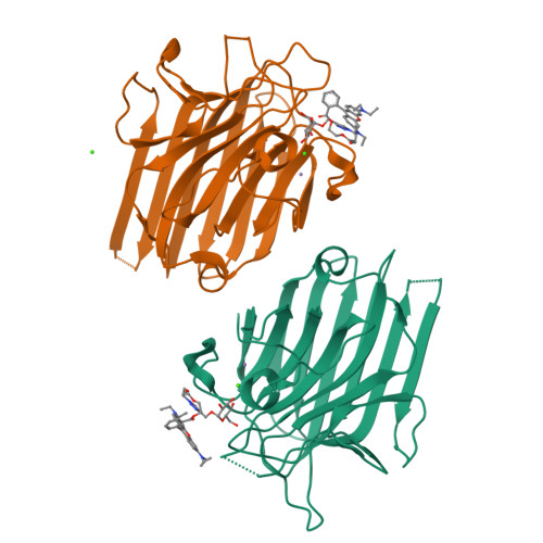 RCSB PDB - 5Z5P: Crystal structure of ConA-R3M