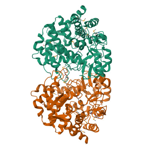RCSB PDB - 5Z73: Crystal structure of alkaline/neutral invertase InvB ...