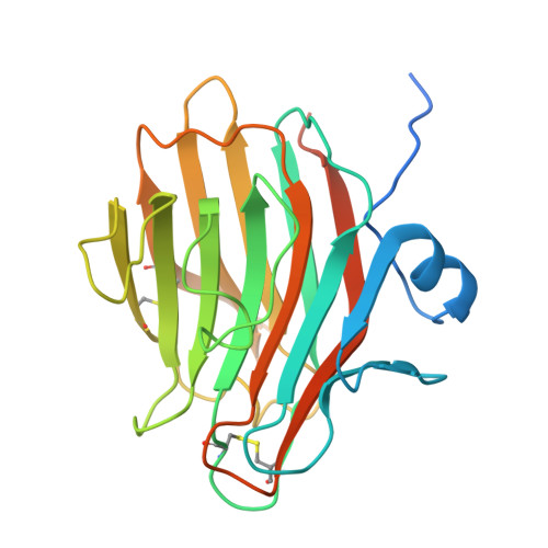 RCSB PDB - 5ZBT: Structure of legume lectin-like domain from Entamoeba ...
