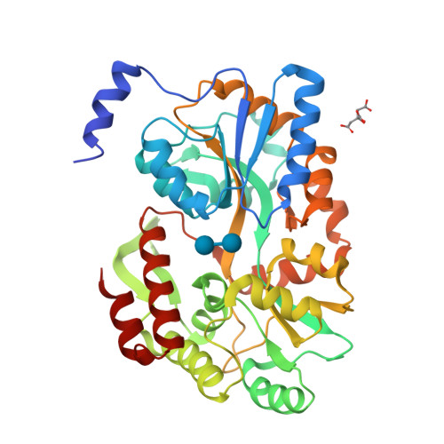 RCSB PDB - 5ZCA: Crystal structure of lambda repressor (1-20) fused ...