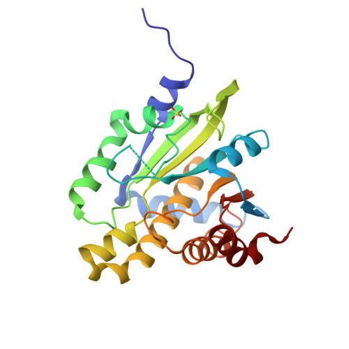 RCSB PDB - 5ZDA: Crystal structure of poly(ADP-ribose) glycohydrolase ...