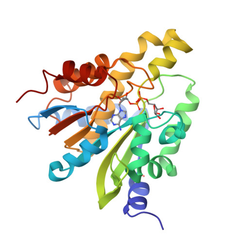 RCSB PDB - 5ZDC: Crystal structure of poly(ADP-ribose) glycohydrolase ...