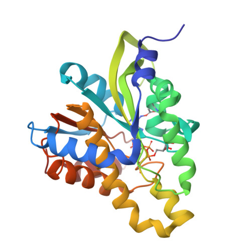 RCSB PDB - 5ZDE: Crystal structure of poly(ADP-ribose) glycohydrolase ...