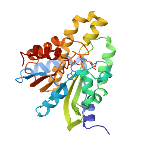 RCSB PDB - 5ZDF: Crystal structure of poly(ADP-ribose) glycohydrolase ...