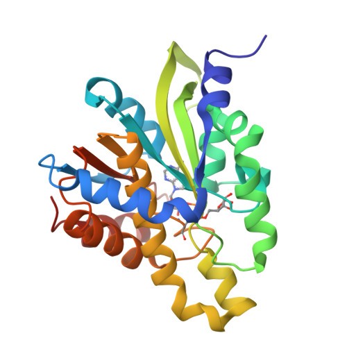 RCSB PDB - 5ZDG: Crystal structure of poly(ADP-ribose) glycohydrolase ...