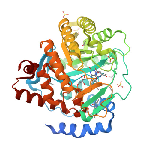 RCSB PDB - 5ZF4: Structure of human dihydroorotate dehydrogenase in ...
