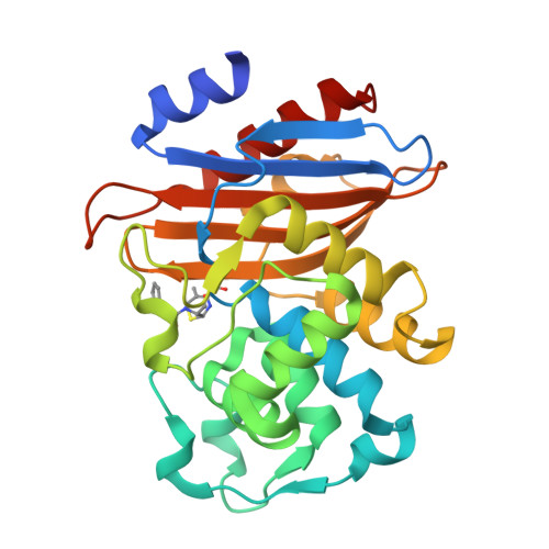 RCSB PDB - 5ZFT: Crystal structure of beta-lactamase PenP mutant-E166Y ...