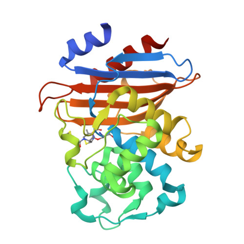 RCSB PDB - 5ZG6: Crystal structure of beta-lactamase PenP mutant-E166Y ...