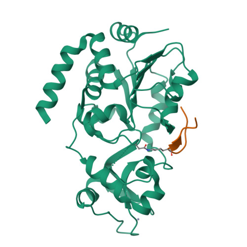 RCSB PDB - 5ZGC: Crystal Structure of SIRT3 in complex with H4K16bhb ...
