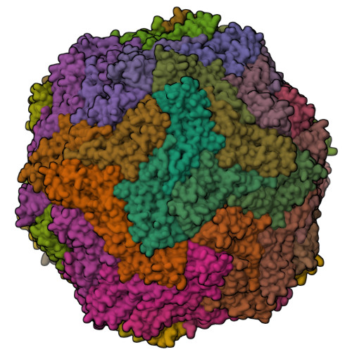 RCSB PDB - 5ZJU: Crystal structure of in vitro expressed and assembled ...