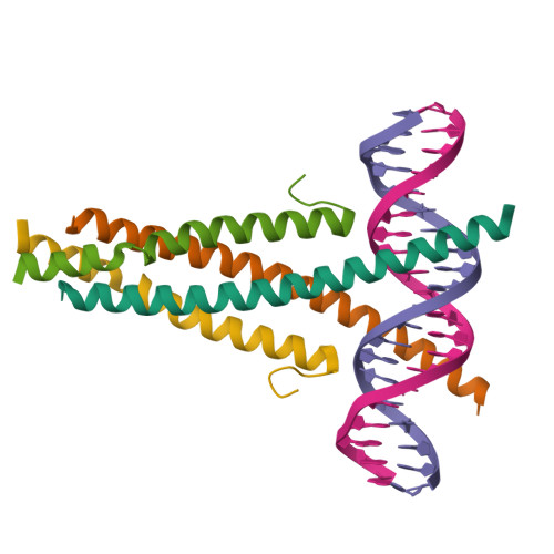 RCSB PDB - 5ZKO: Crystal structure of the CRTC2-CREB-CRE complex