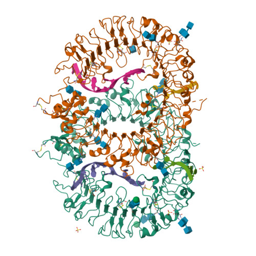 RCSB PDB - 5ZLN: Crystal structure of mouse TLR9 in complex with two ...