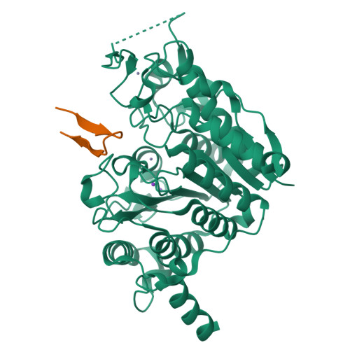 RCSB PDB - 5ZOO: Crystal structure of histone deacetylase 4 (HDAC4) in ...