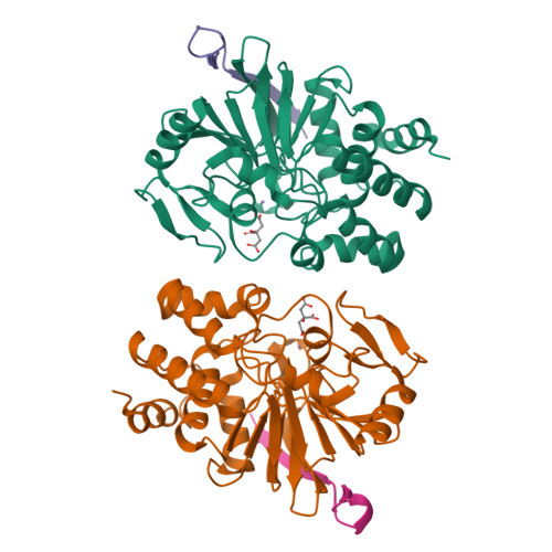 RCSB PDB - 5ZQV: Crystal Structure of Protein Phosphate 1 complexed ...