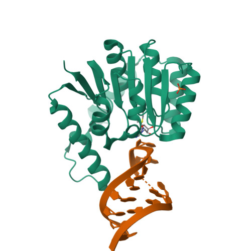 RCSB PDB - 5ZW4: Crystal structure of tRNA bound TrmR