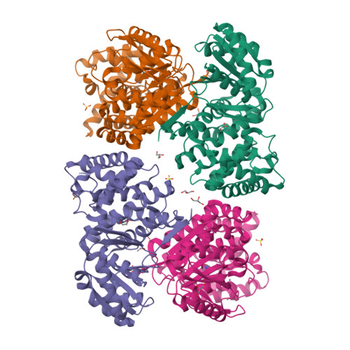 RCSB PDB - 5ZXL: Structure of GldA from E.coli