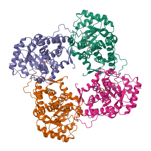 RCSB PDB - 6A00: The crystal structure of Mandelate oxidase with (S)-2 ...