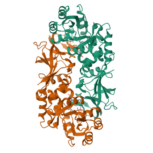 RCSB PDB - 6A2F: Crystal structure of biosynthetic alanine racemase ...