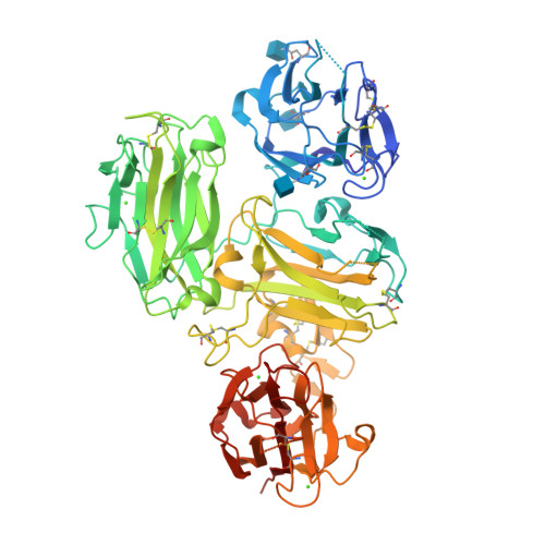 RCSB PDB - 6A48: Crystal structure of reelin N-terminal region
