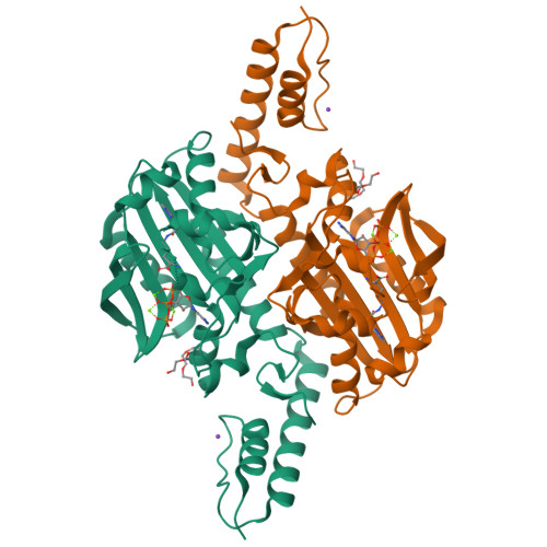 RCSB PDB - 6AAC: Crystal structure of Methanosarcina mazei PylRS(Y306A ...