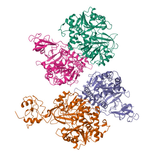 RCSB PDB - 6AC3: Structure of a natural red emitting luciferase from ...