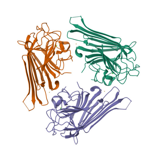 RCSB PDB - 6AHG: Trimeric structure of concanavalin A from Canavalia ...
