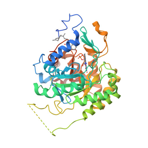 RCSB PDB - 6AJE: Crystal structure of DHODH in complex with ferulenol ...