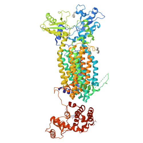 RCSB PDB - 6AJF: Crystal structure of mycolic acid transporter MmpL3 ...