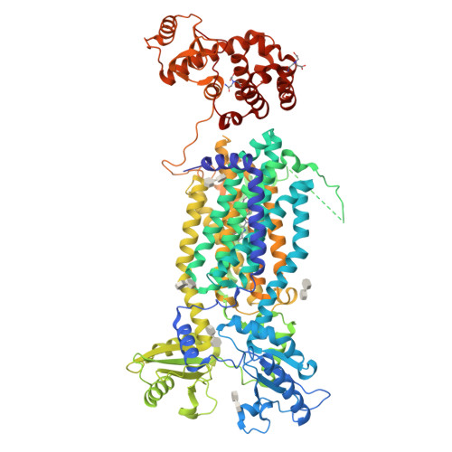 RCSB PDB - 6AJJ: Crystal structure of mycolic acid transporter MmpL3 ...
