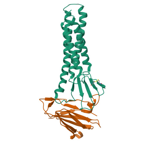 RCSB PDB - 6AKG: Crystal structure of mouse claudin-3 P134G mutant in ...