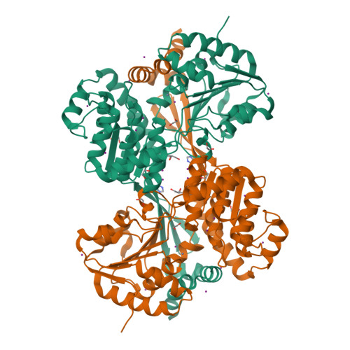 RCSB PDB - 6AN0: Crystal Structure of Histidinol Dehydrogenase from ...