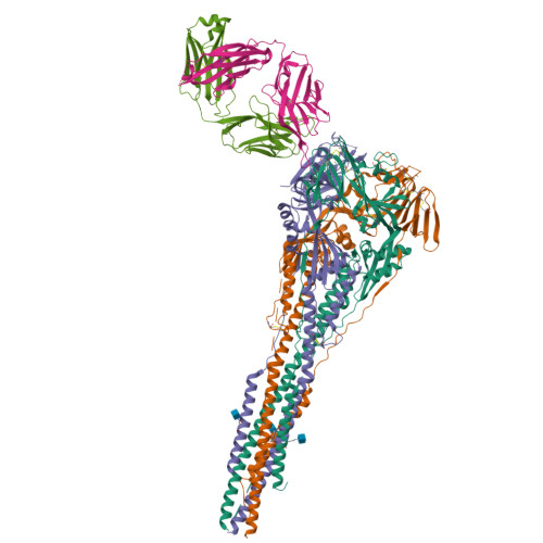 RCSB PDB - 6APB: Crystal Structure of Non-Neutralizing Infant Antibody ...