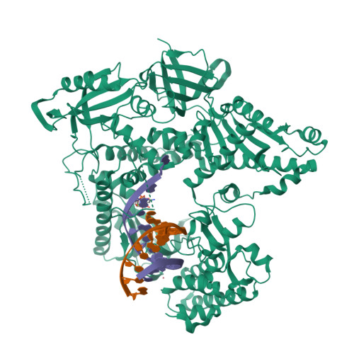 RCSB PDB - 6AS7: CRYSTAL STRUCTURE OF THE CATALYTIC CORE OF HUMAN DNA ...