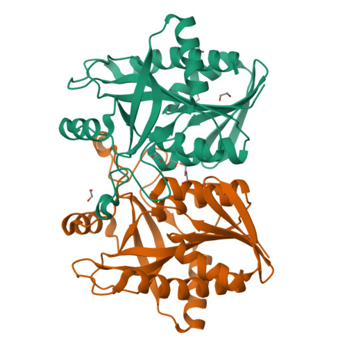 RCSB PDB - 6AYM: Crystal structure of Campylobacter jejuni 5 ...