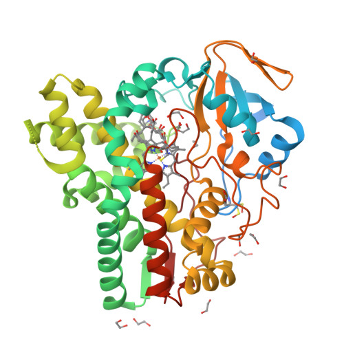 RCSB PDB - 6B11: TylHI in complex with native substrate 23-deoxy-5-O ...