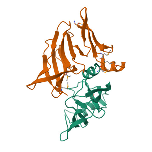 RCSB PDB - 6B12: Structure of Tne2 in complex with Tni2