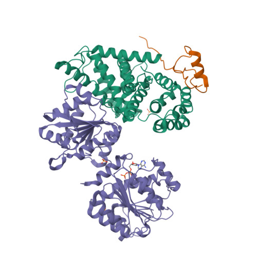 RCSB PDB - 6B4I: Crystal structure of human Gle1 CTD-Nup42 GBM-DDX19B ...