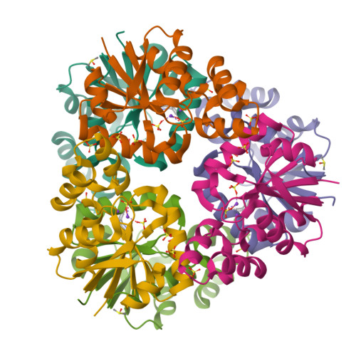 RCSB PDB - 6B7D: Crystal structure of E.coli Phosphopantetheine ...