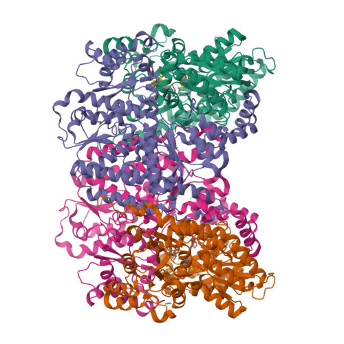 RCSB PDB - 6BBL: Crystal structure of the a-96Gln MoFe protein variant ...