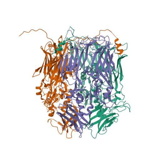 RCSB PDB - 6BEC: Crystal structure of VACV D13 in complex with Rifabutin