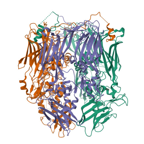 RCSB PDB - 6BEE: Crystal structure of VACV D13 in complex with Rifaximin