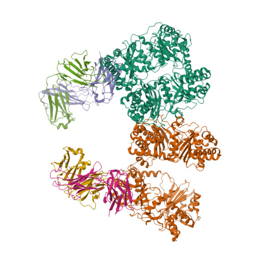 RCSB PDB - 6BF9: Cryo-EM structure of human insulin degrading enzyme in ...